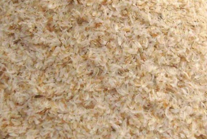 Psyllium Husk | JD Spices,Unjha,Gujarat,India